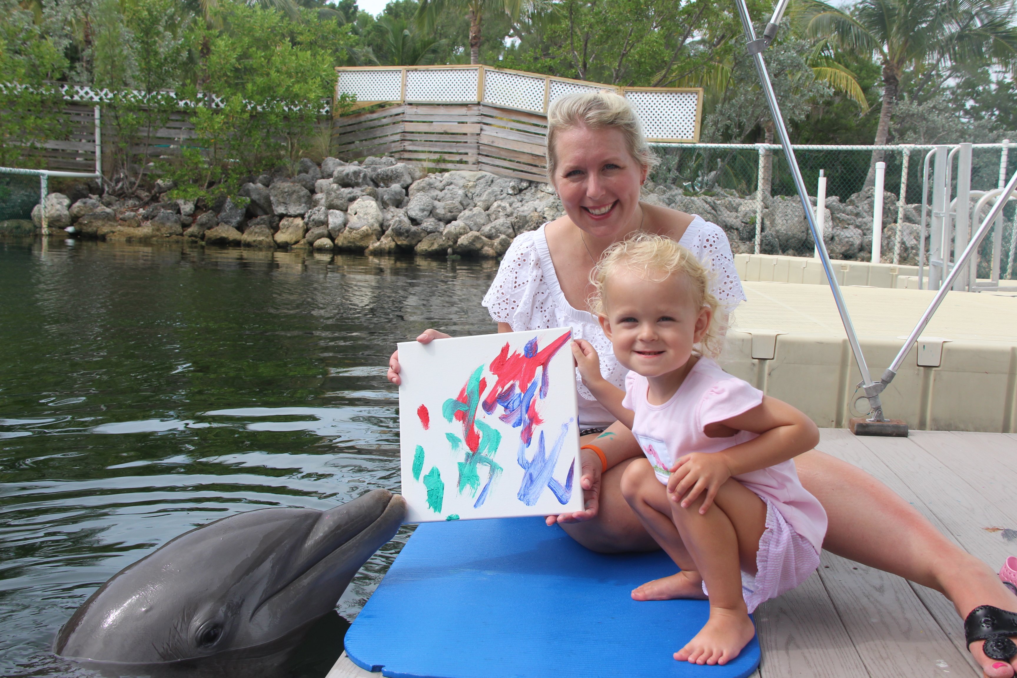 Premier Family Dolphin Experience | Dolphins Plus