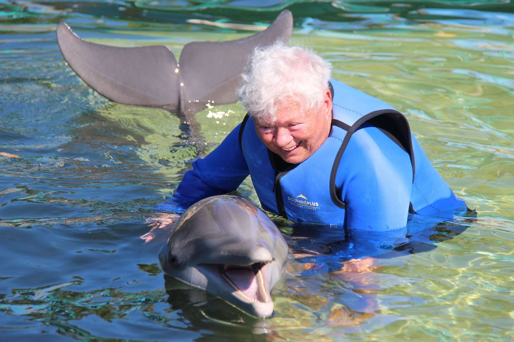 Golden Tide Dolphin Encounters