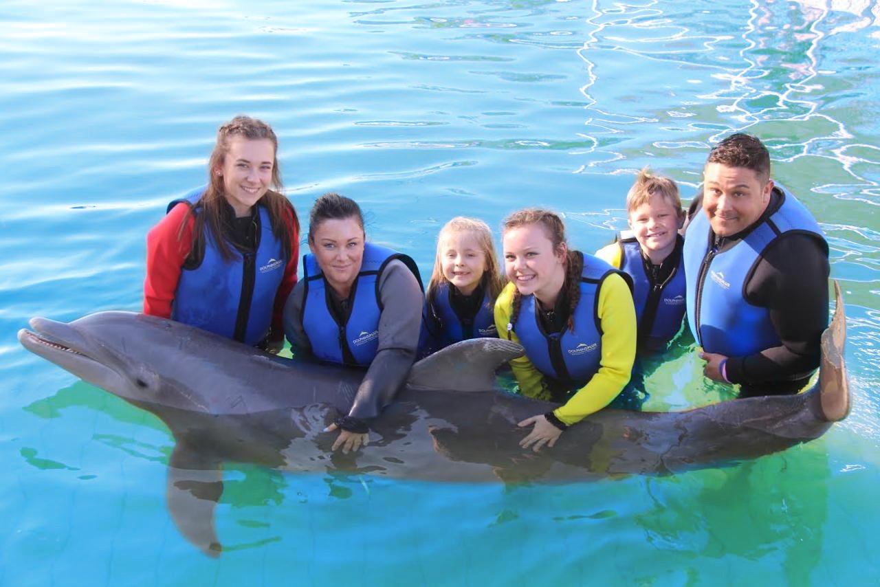 Find Out What It's Like to Swim with Dolphins