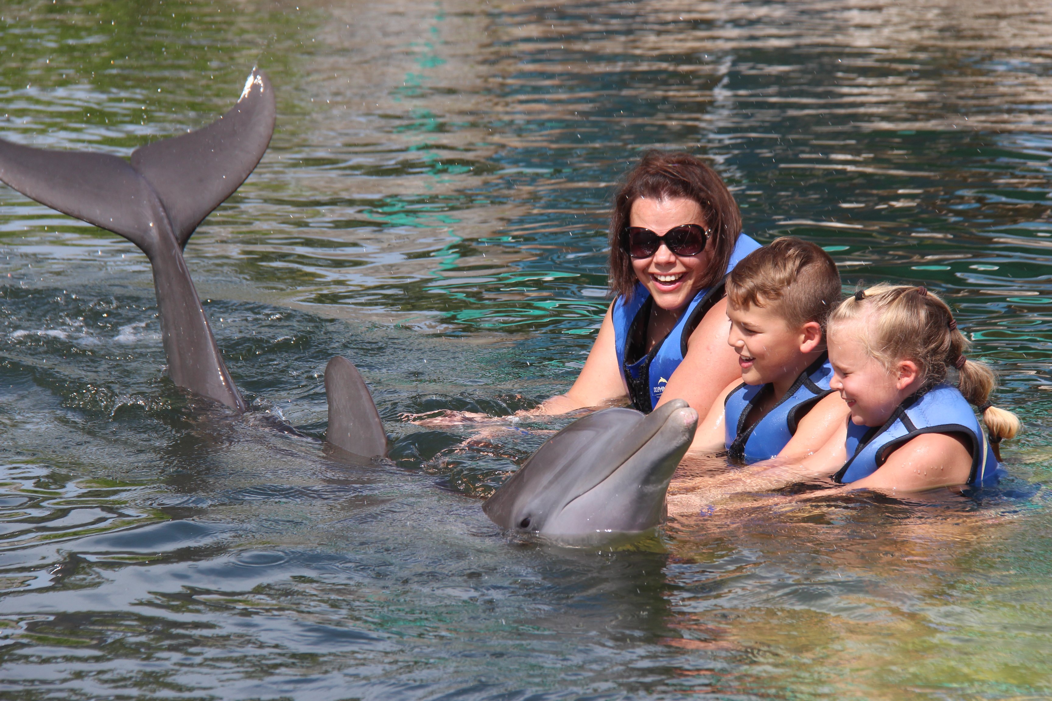 Find Out What It's Like to Swim with Dolphins