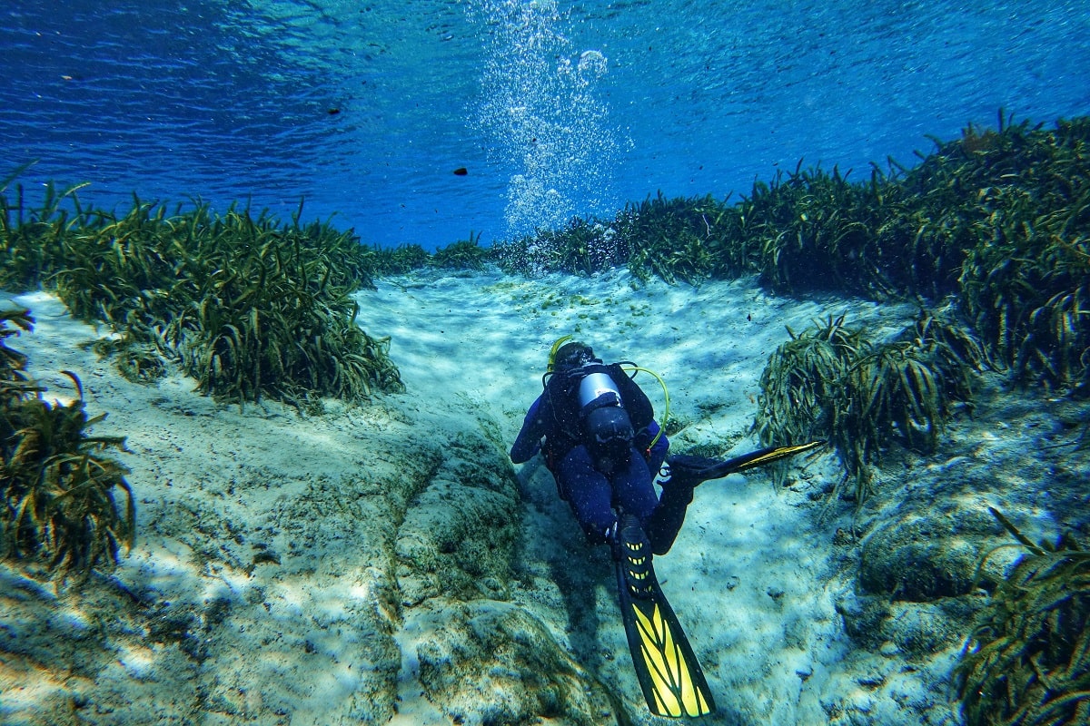 The 6 Best Diving Sites in the Florida Keys